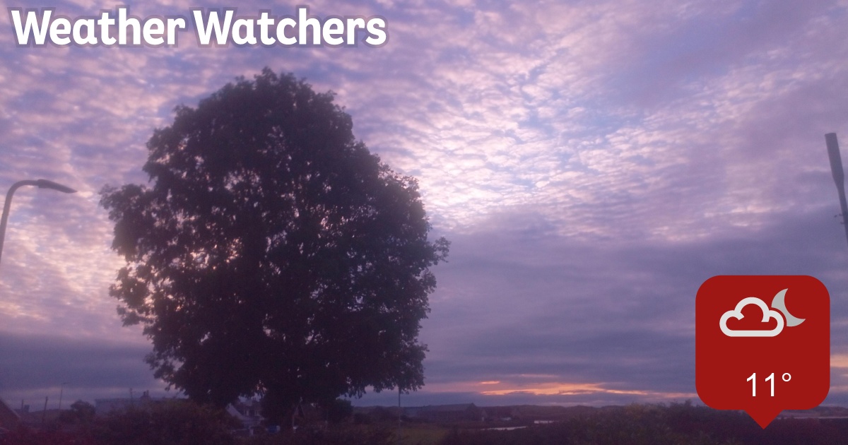 Report - BBC Weather Watchers