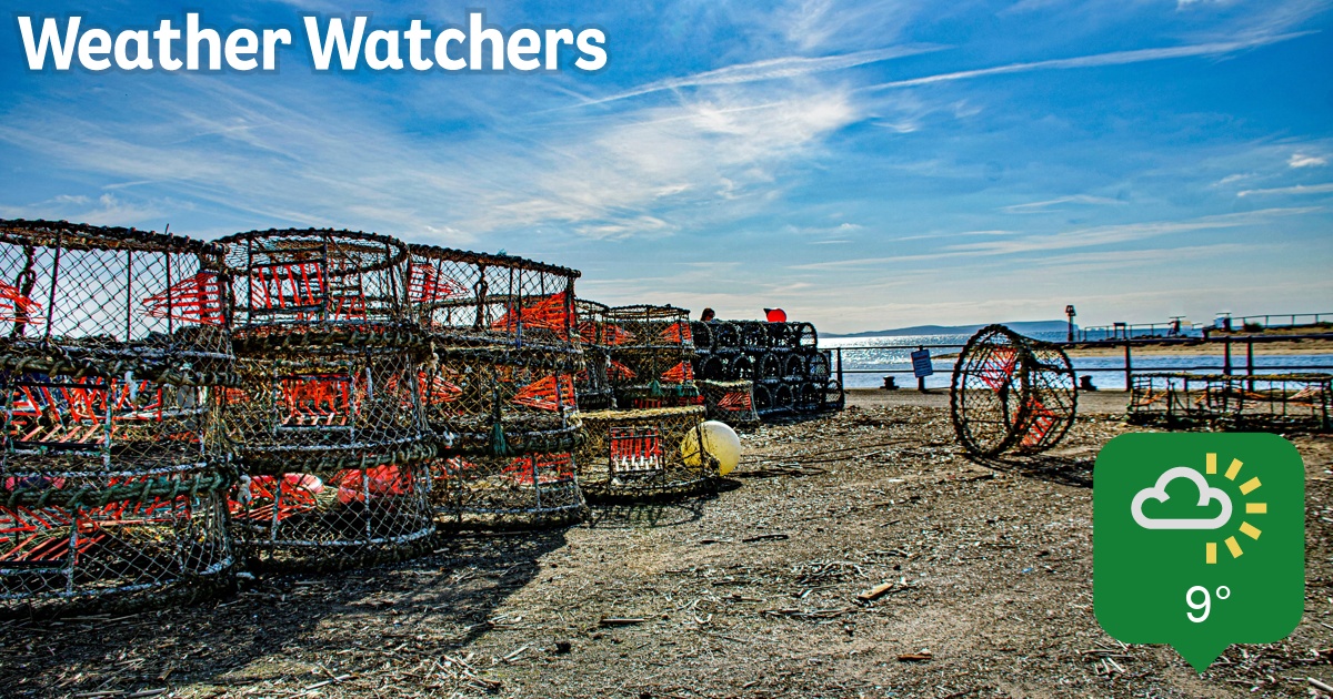 Report - BBC Weather Watchers