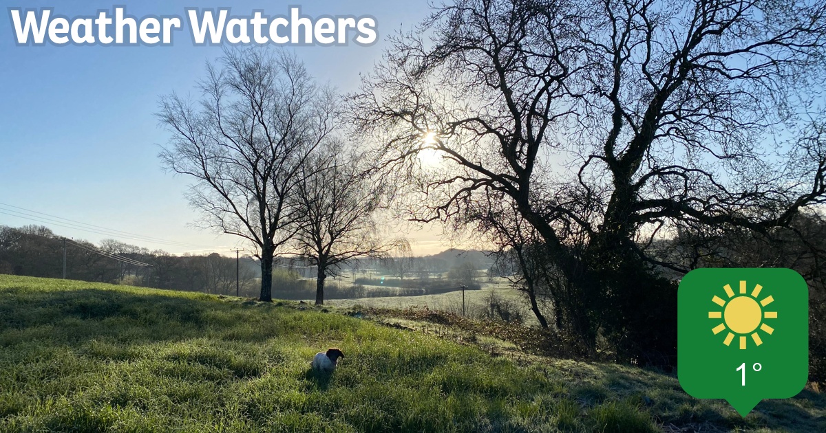 Report - BBC Weather Watchers