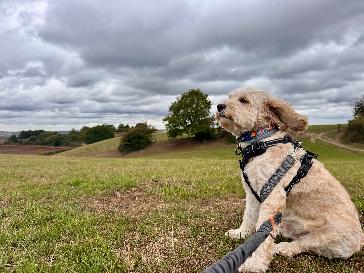 Nottingham - BBC Weather