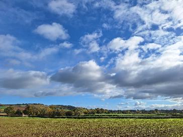 Redditch - BBC Weather