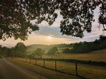 Telford - BBC Weather