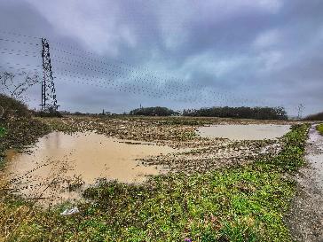 Felixstowe - BBC Weather