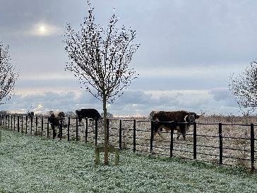 Maidstone - BBC Weather
