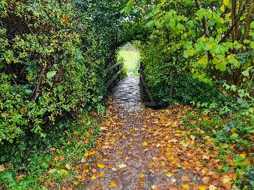 Camberley - BBC Weather