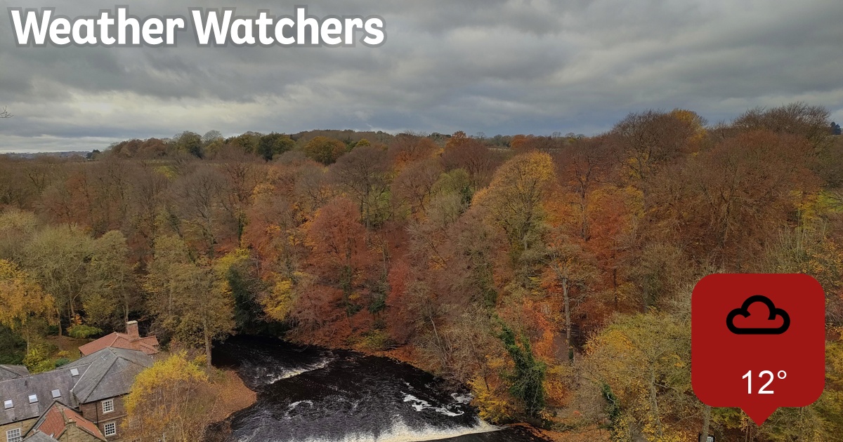 Report - BBC Weather Watchers