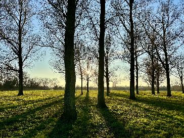 Stevenage Old Town - BBC Weather