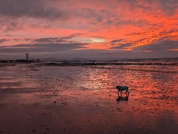 Swansea - BBC Weather