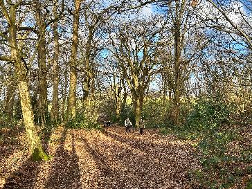 Sutton Coldfield - BBC Weather