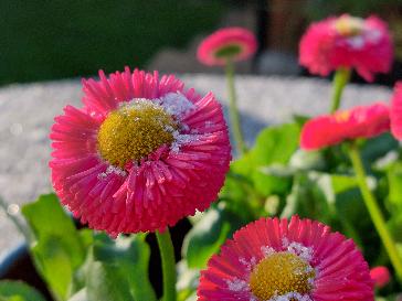 Bedford - BBC Weather