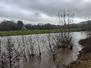 Caerphilly - BBC Weather