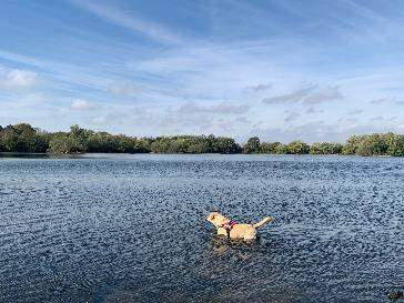 Cottenham - BBC Weather