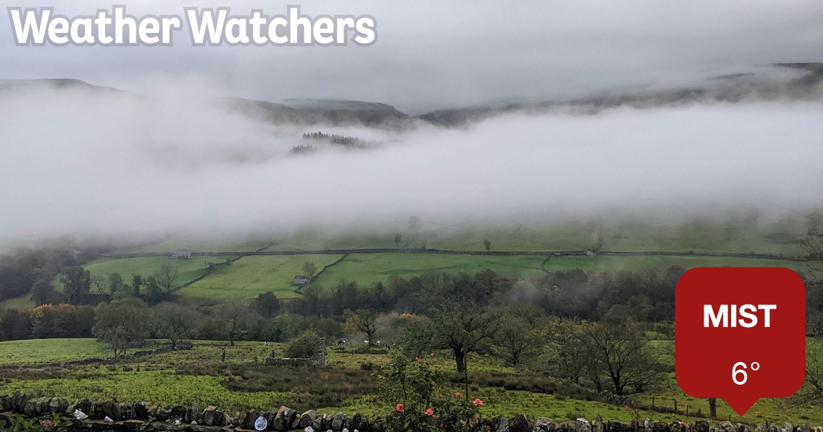 Report - BBC Weather Watchers