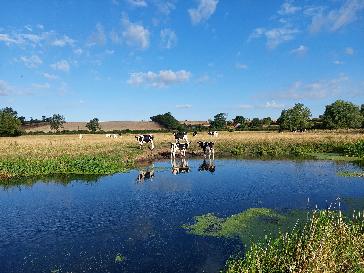 North Tuddenham - BBC Weather