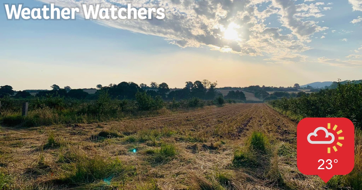 Report - BBC Weather Watchers