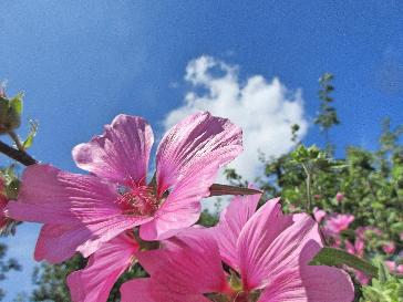 Redcar - BBC Weather