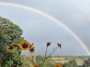Telford - BBC Weather