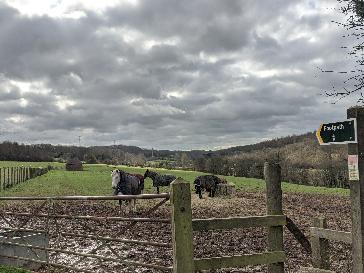 Maidstone - BBC Weather
