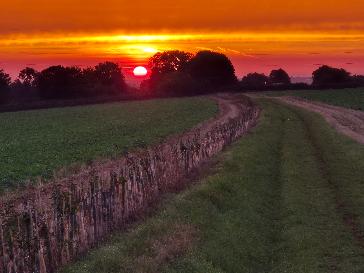 Hinckley - BBC Weather