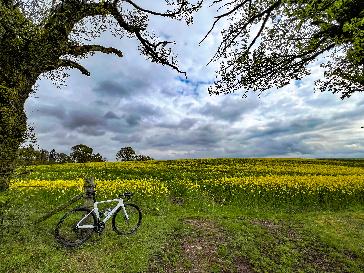 Arbroath - BBC Weather