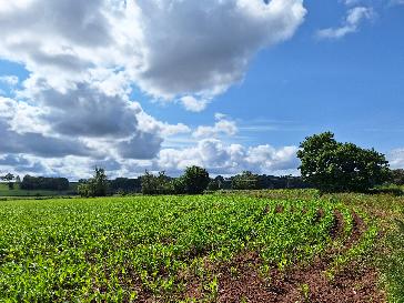 Redditch - BBC Weather