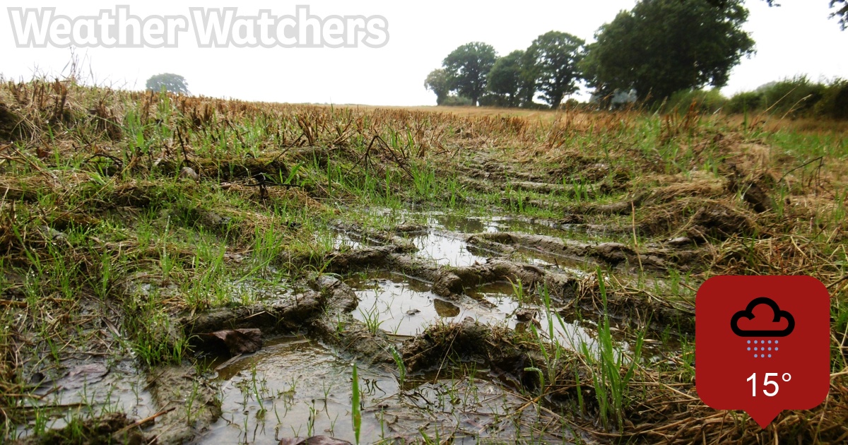 Report - BBC Weather Watchers