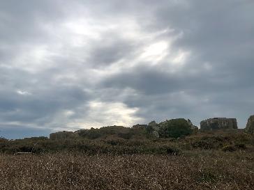 Guernsey Airport - BBC Weather