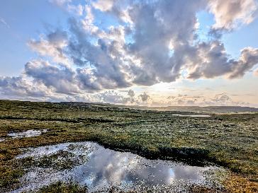 Inverurie - BBC Weather