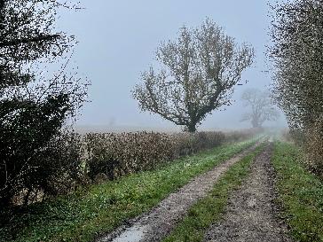 Salisbury - BBC Weather