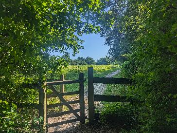 Basildon - BBC Weather