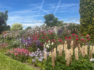 Middlesbrough - BBC Weather