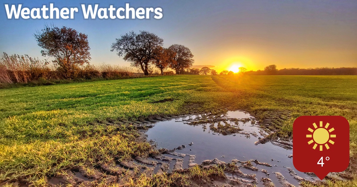 Report - BBC Weather Watchers