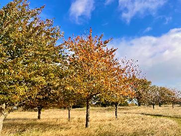 Mildenhall - BBC Weather