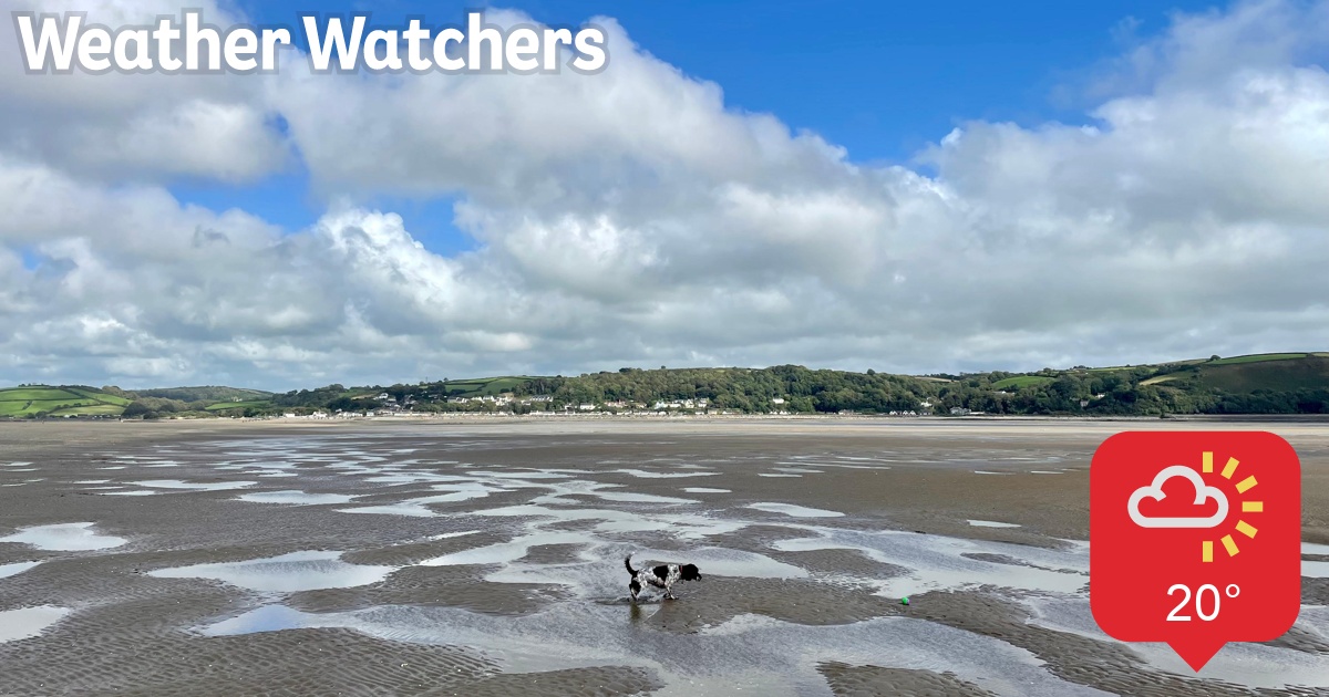 Report - BBC Weather Watchers