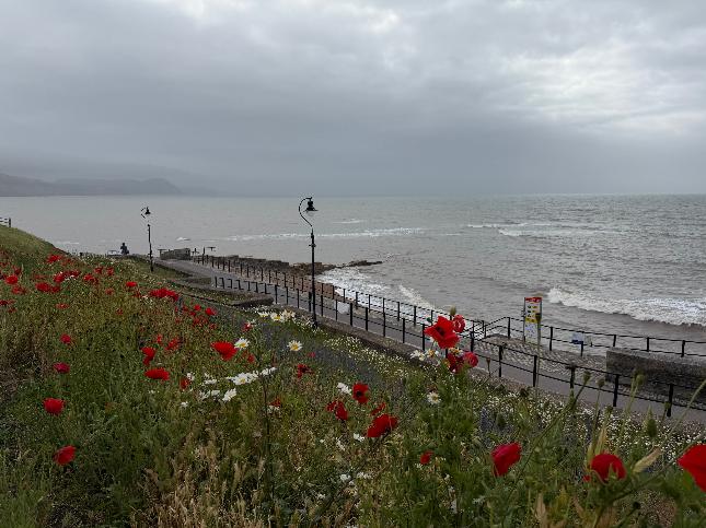 Report - BBC Weather Watchers