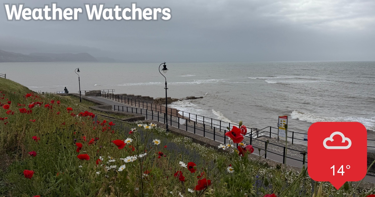 Report - BBC Weather Watchers