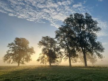Norwich - BBC Weather