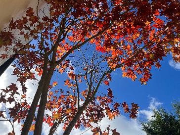 Reading - BBC Weather