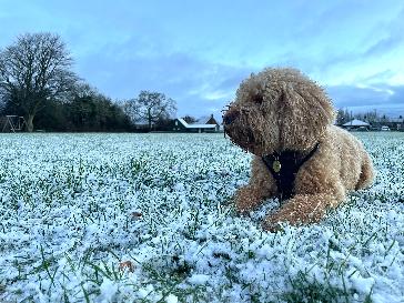 Swindon - BBC Weather