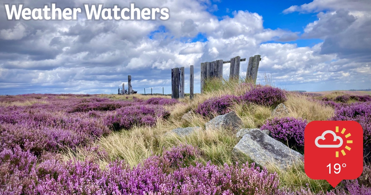 Report - BBC Weather Watchers