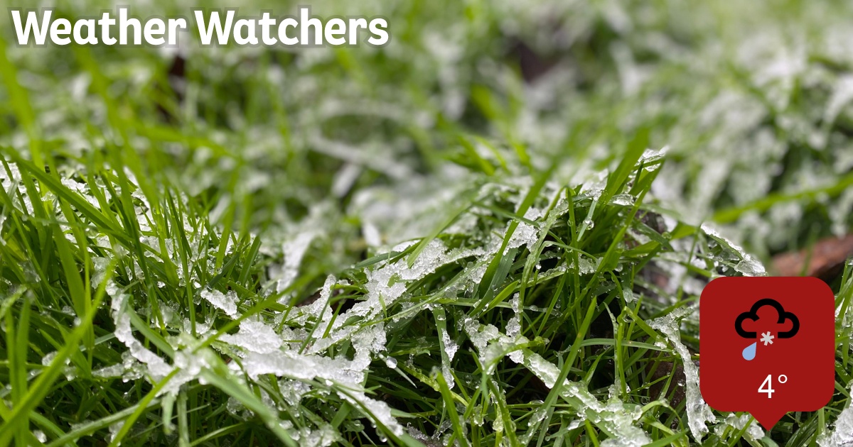 Report - BBC Weather Watchers