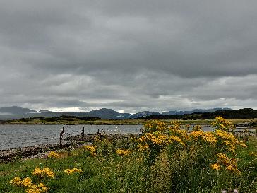 Irvine - BBC Weather