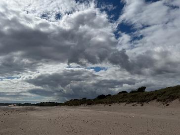 Arbroath - BBC Weather