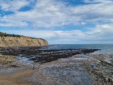 Harrogate - BBC Weather