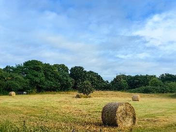 Bargoed - BBC Weather