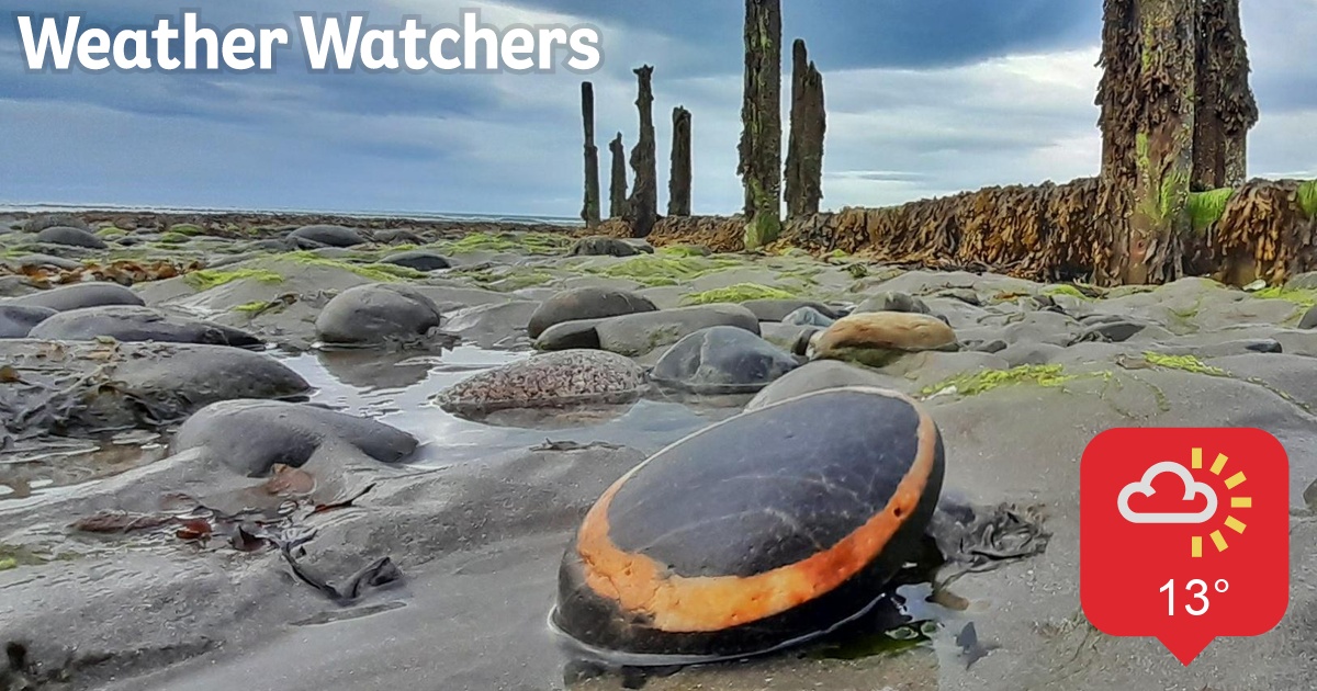 Report - BBC Weather Watchers