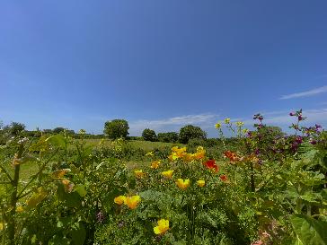 Guernsey Airport - BBC Weather