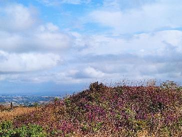 Penzance - BBC Weather