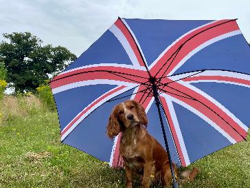 Mildenhall - BBC Weather