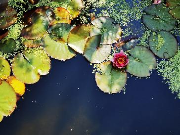 Callander - BBC Weather